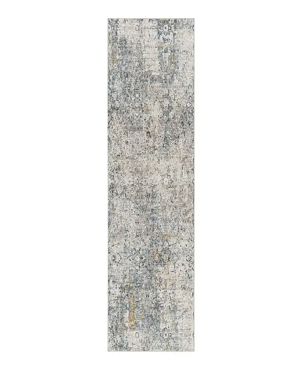 LIVABLISS Cardiff Cdf-2300 Runner Area Rug, 2'7 X 10