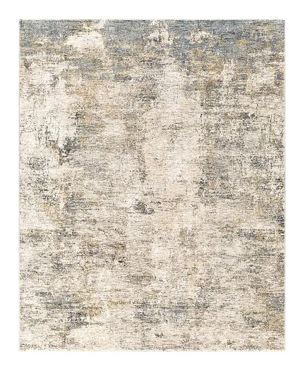 LIVABLISS Cardiff Cdf-2304 Area Rug, 2'7 X 4