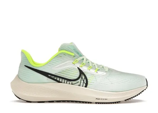 Nike Air Zoom Pegasus 39