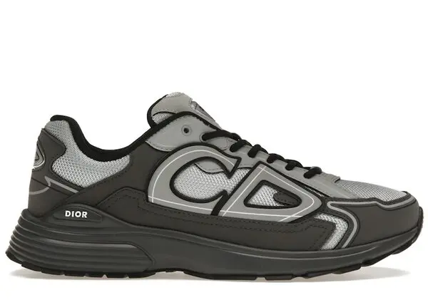 Dior B30in Sneakers - Anthracite/grey