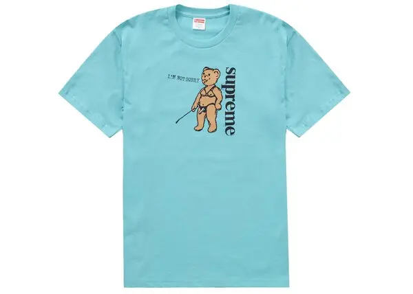 Supreme Not Sorry Tee Shirt - Light Teal