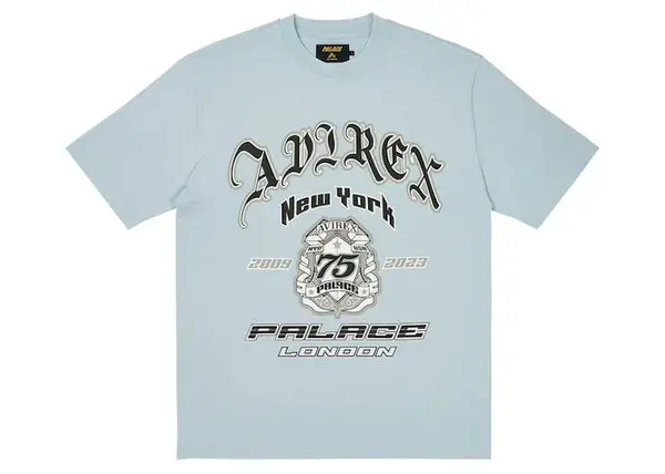 PALACE X Avirex T-shirt