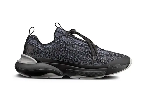 Dior B24 Oblique Sneakers