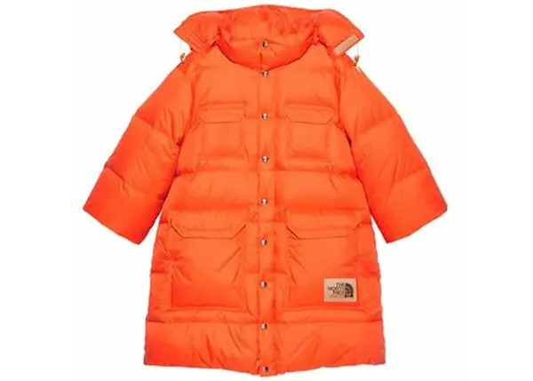 Gucci X The North Face Nylon Jacket
