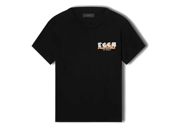 Amiri Tgcw Tee Shirt - Black