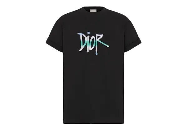 Dior And Shawn Oversized Logo T-shirt