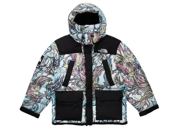 Supreme The North Face 700-fill Down Parka - Multicolor Dragon
