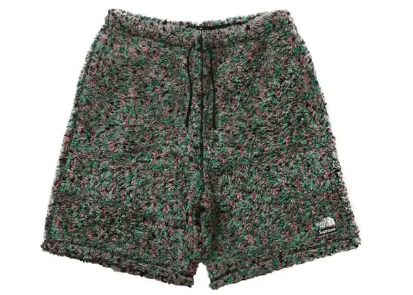 Supreme The North Face High Pile Fleece Short - Multicolor