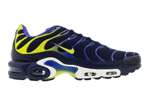 Nike Air Max Plus Sneakers