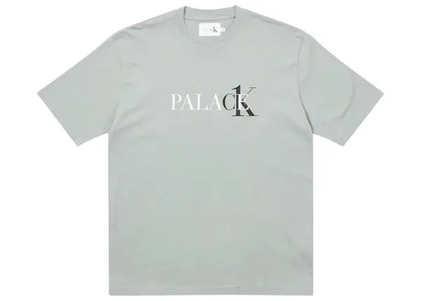 PALACE Ck1 T-shirt - Quarry