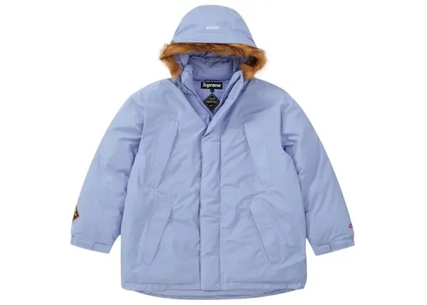 Supreme Gore-tex 700-fill Down Parka