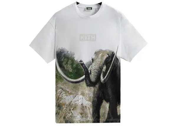 Kith Amnh Late Mammals Vintage Tee Shirt