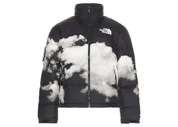 The North Face 1996 Retro Nuptse 700 Fill Anniversary Jacket - Multicolor