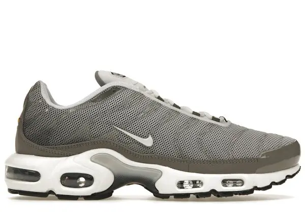 Nike Air Max Plus Sneakers - Flat Pewter/white/photon Dust