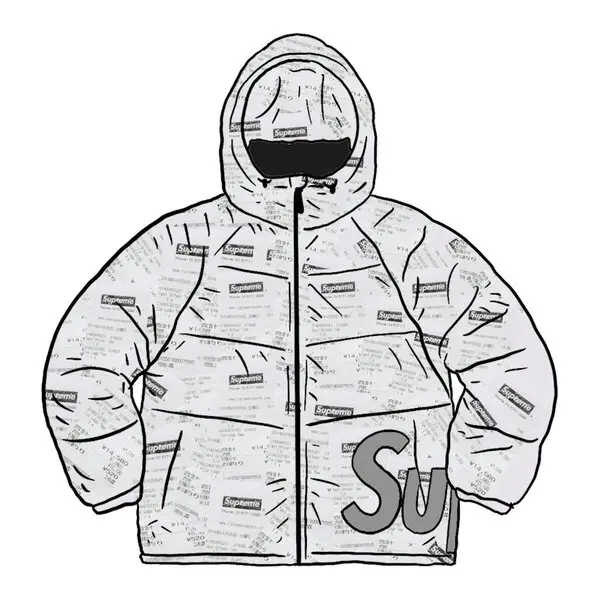 Supreme Hooded Down Jacket - Receipts