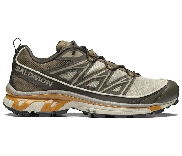 SALOMON Xt6 Expanse - Feather Gray/delicioso/golden Oak