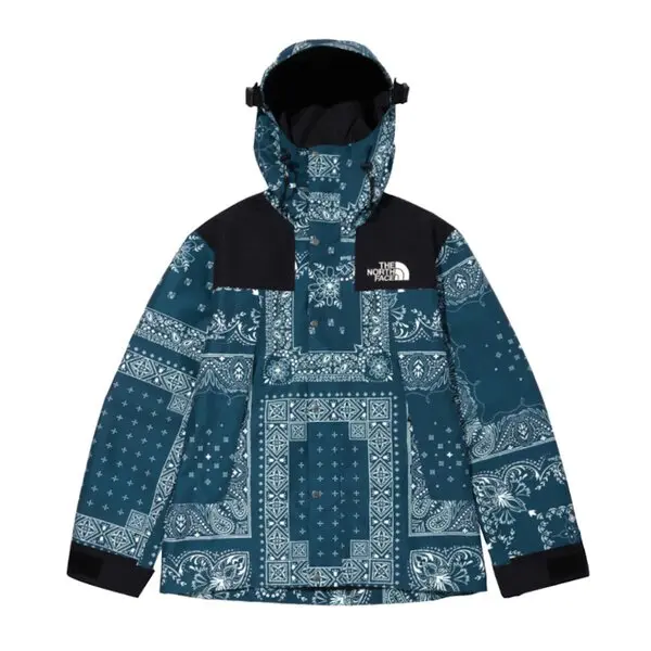 The North Face Novelty Gtx Paisley Mountain Jacket - Peacock Blue