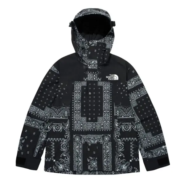 The North Face Novelty Gtx Paisley Mountain Jacket - Black