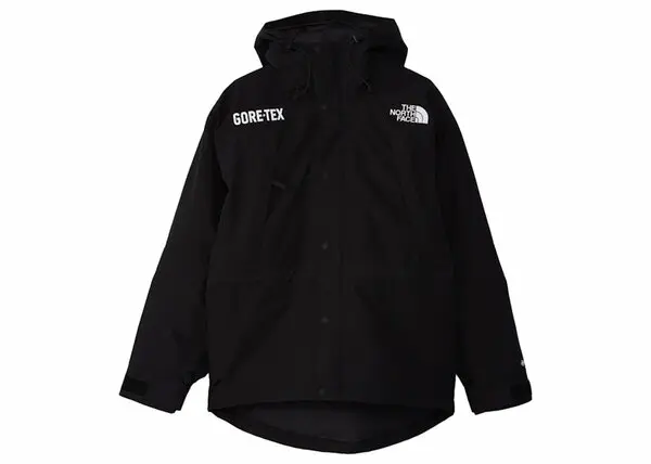 The North Face Gtx Mountain Guide Insulated Parka