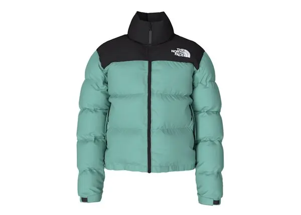 The North Face 1996 Retro Nuptse 700 Fill Packable Jacket