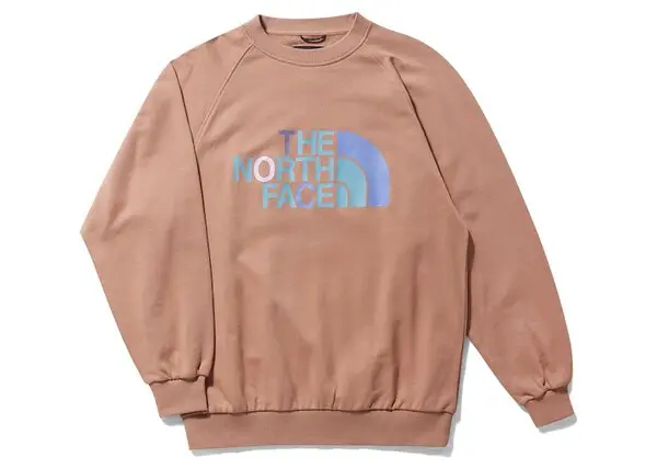 The North Face X Clot Graphic Crewneck Sweatshirt - Brown