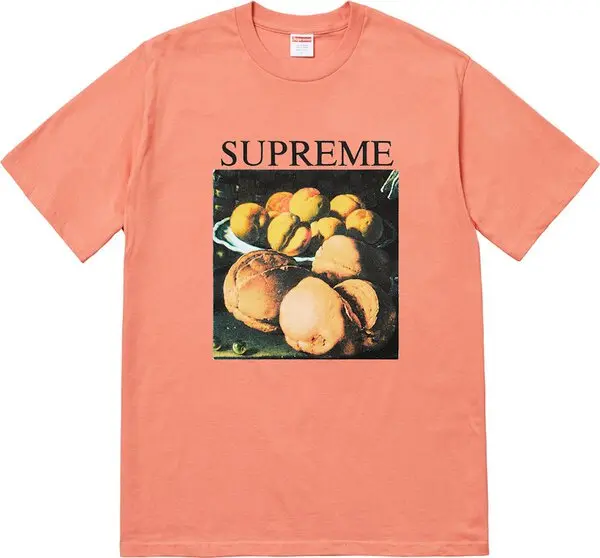 Supreme Still Life Tee Shirt - Terra Cotta