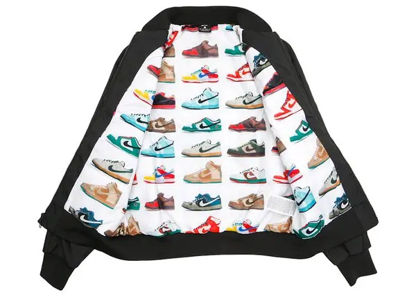 Nike Iso Dunk Jacket