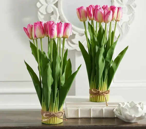 VALERIE PARR HILL As Is Set Of 14.5' Tulip Bundles Valerie