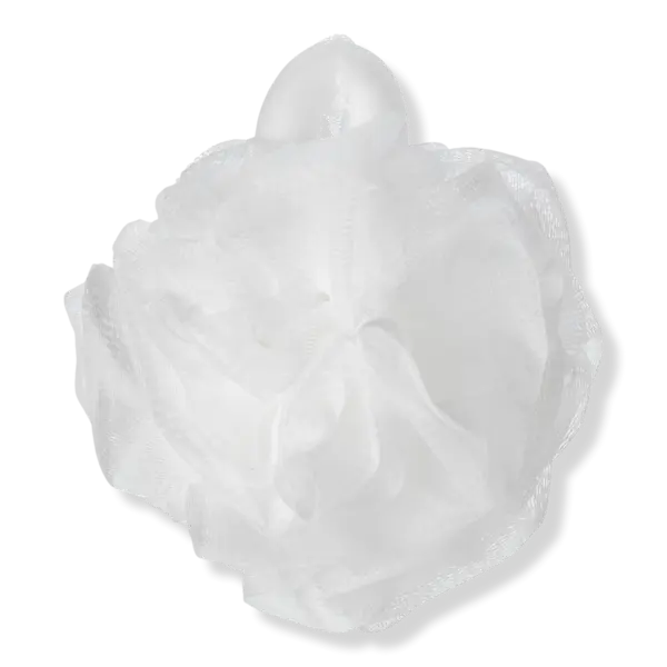 EARTH THERAPEUTICS Hydro Sponge With Hand Strap In White
