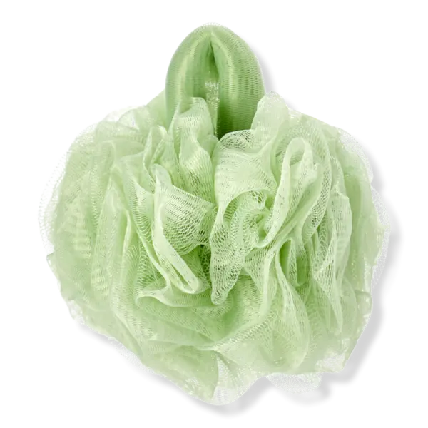 EARTH THERAPEUTICS Hydro Sponge With Hand Strap In Green