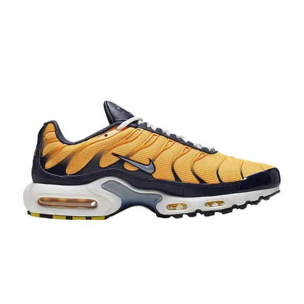 Nike Air Max Plus - Orange
