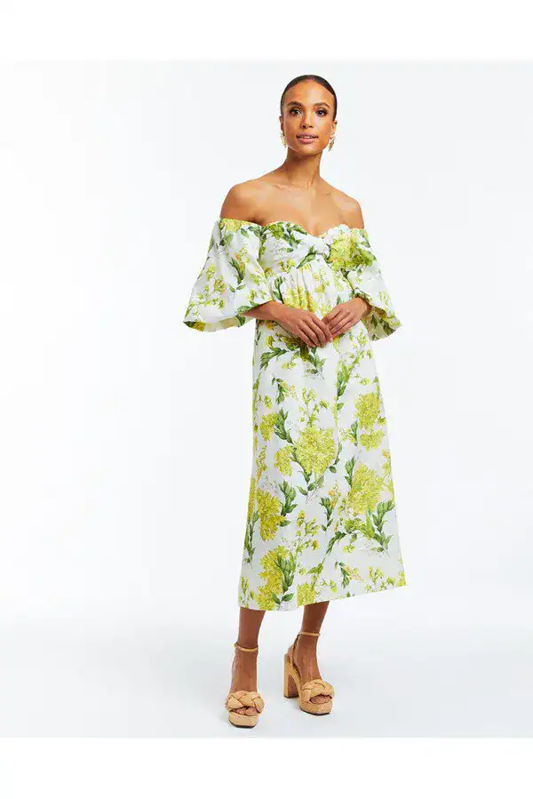 Mestiza New York Emilie Midi Dress In Green - 50% Off | Editorialist