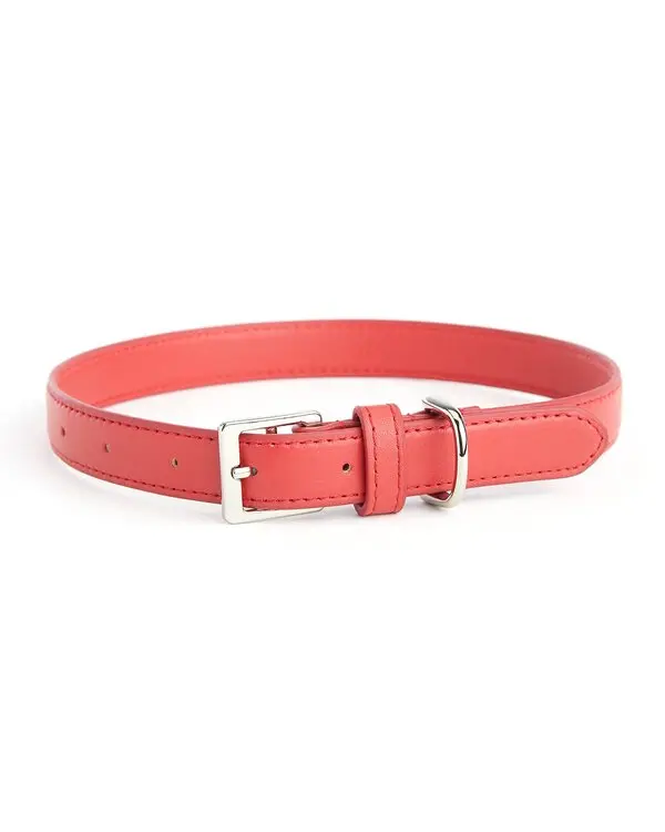 ROYCE NEW YORK Personalized Leather Medium Dog Collar - Red