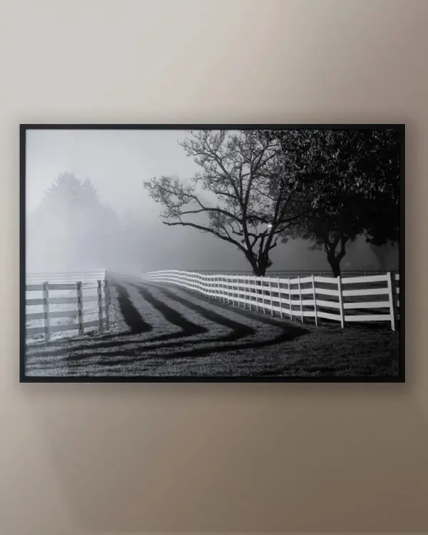GRAND IMAGE HOME Fenced Pasture With Fog And Sunshine" Photo