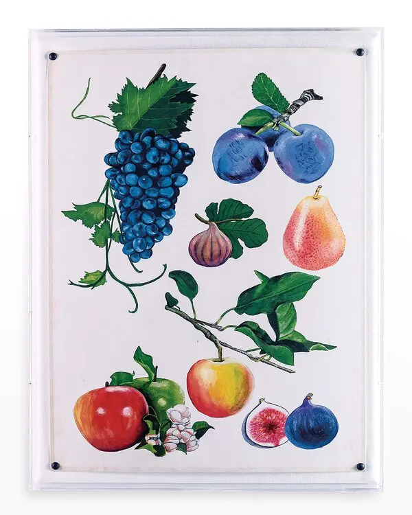 PORT 68 Fruit Ii" Giclee Print Wall Art