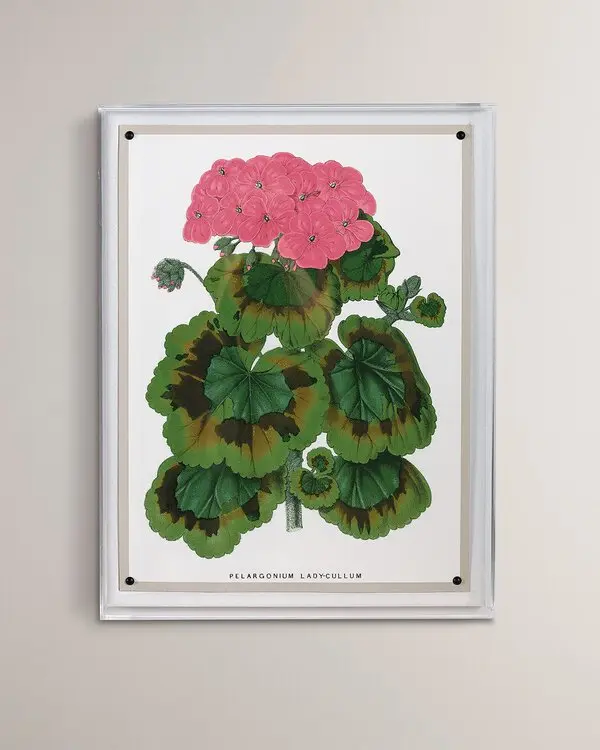 PORT 68 Geranium Iii" Giclee Print