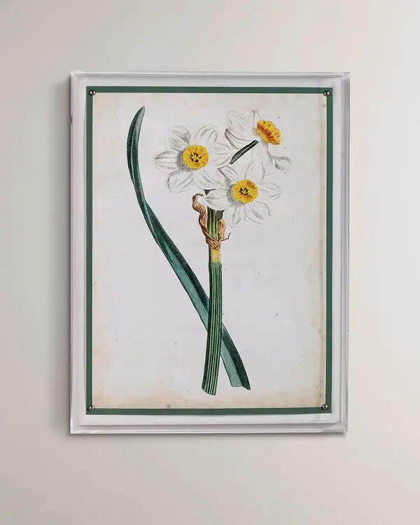 PORT 68 Narcissus Iii" Giclee Print