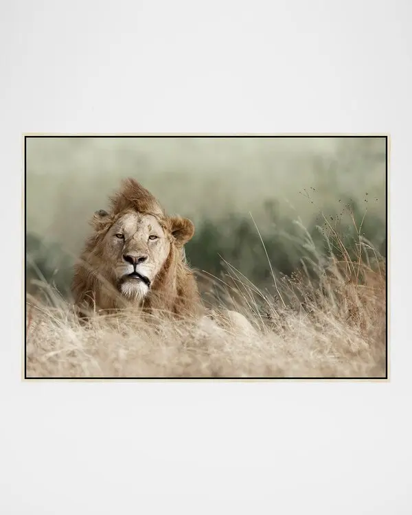 PRESTIGE ARTS Your Majesty" Photography
