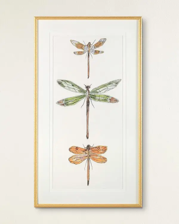 JOHN-RICHARD COLLECTION Joyful Dragonflies Ii" Giclee Wall Art Joy Colangelo