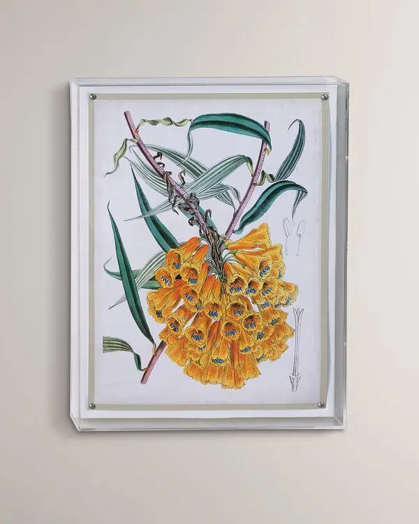 PORT 68 Tropicals Vi Giclee