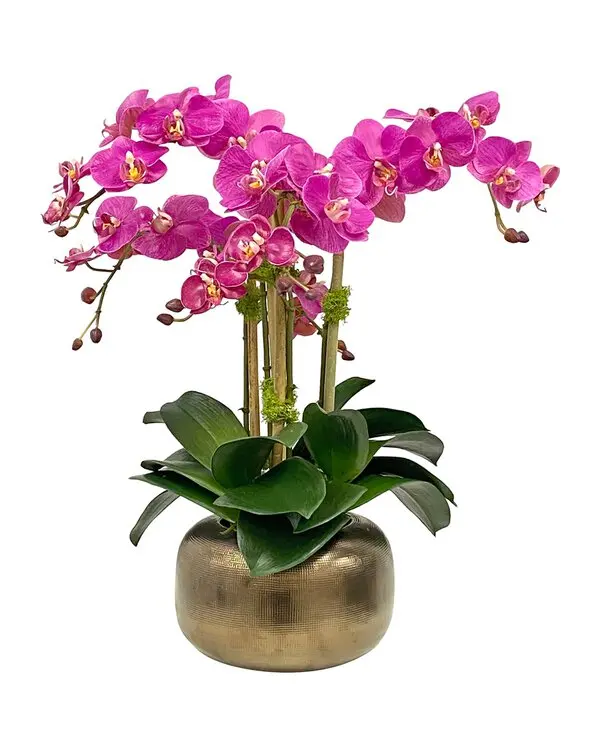 WINWARD HOME Orchid In Artisanal Pot