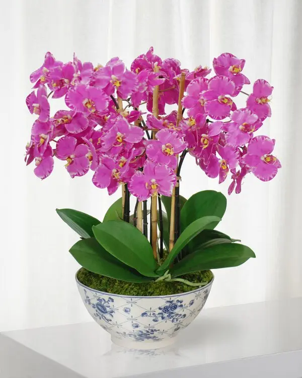 WINWARD HOME Orchid In Rose Trellis Bowl