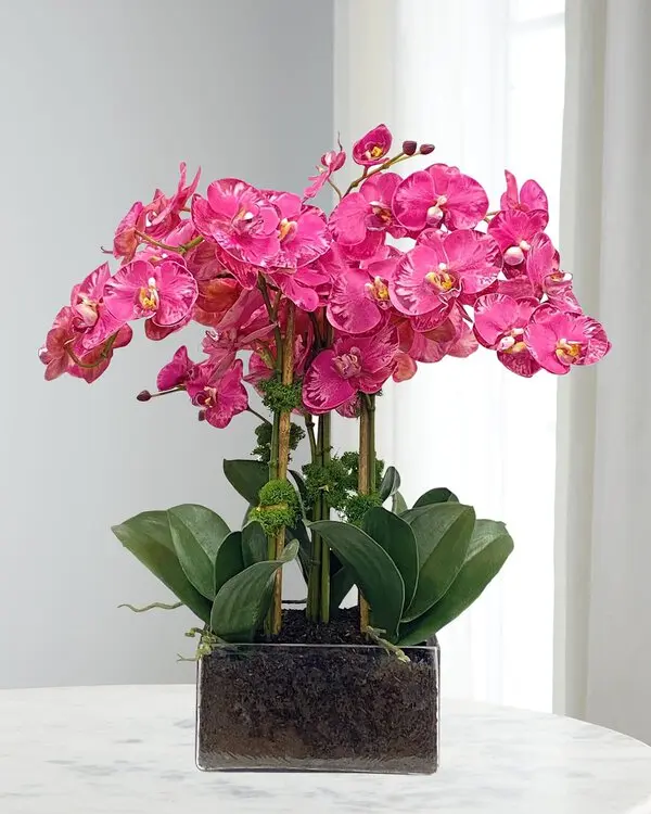 WINWARD HOME Phalaenopsis Orchid Arrangement In Square Vase