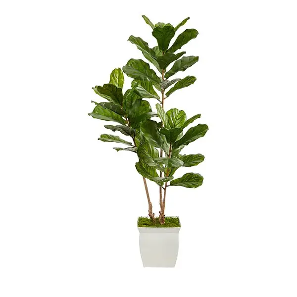 NEARLY NATURAL 5.5ft. Fiddle Leaf Artificial Tree In White Metal Planter Uv Resistant - Green