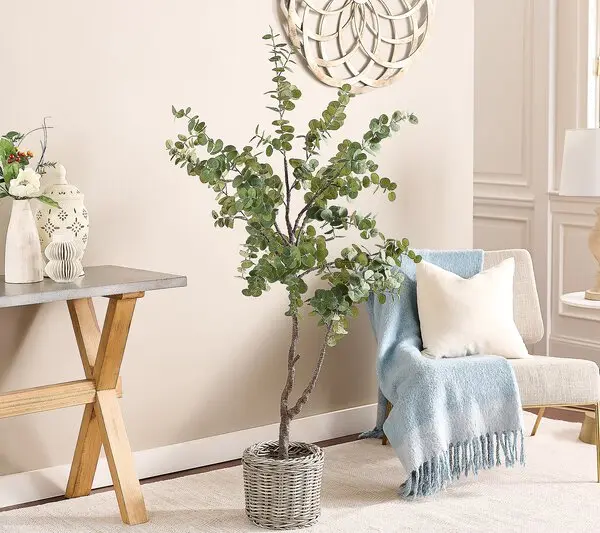 VALERIE PARR HILL As Is 5' Faux Eucalyptus Tree In Starter Potby Valerie
