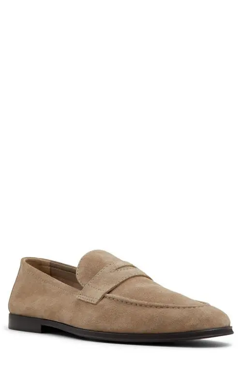 Aldo Journey Suede Loafer - Beige