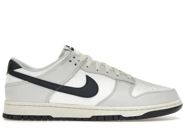 Nike Dunk Low Next Nature Sneakers
