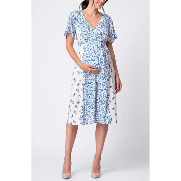 Seraphine Floral Maternity/nursing Dress