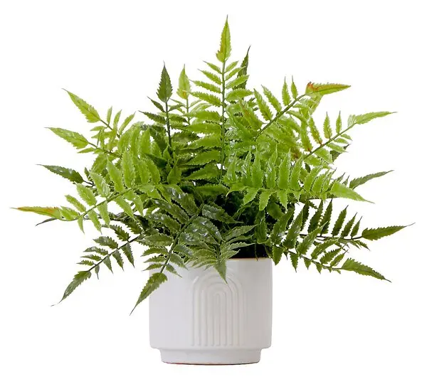 NEARLY NATURAL 13' Artificial Boston Fern Plant With Planter
