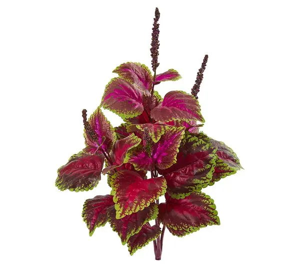 NEARLY NATURAL 23' Coleus Bush Artificial Plant